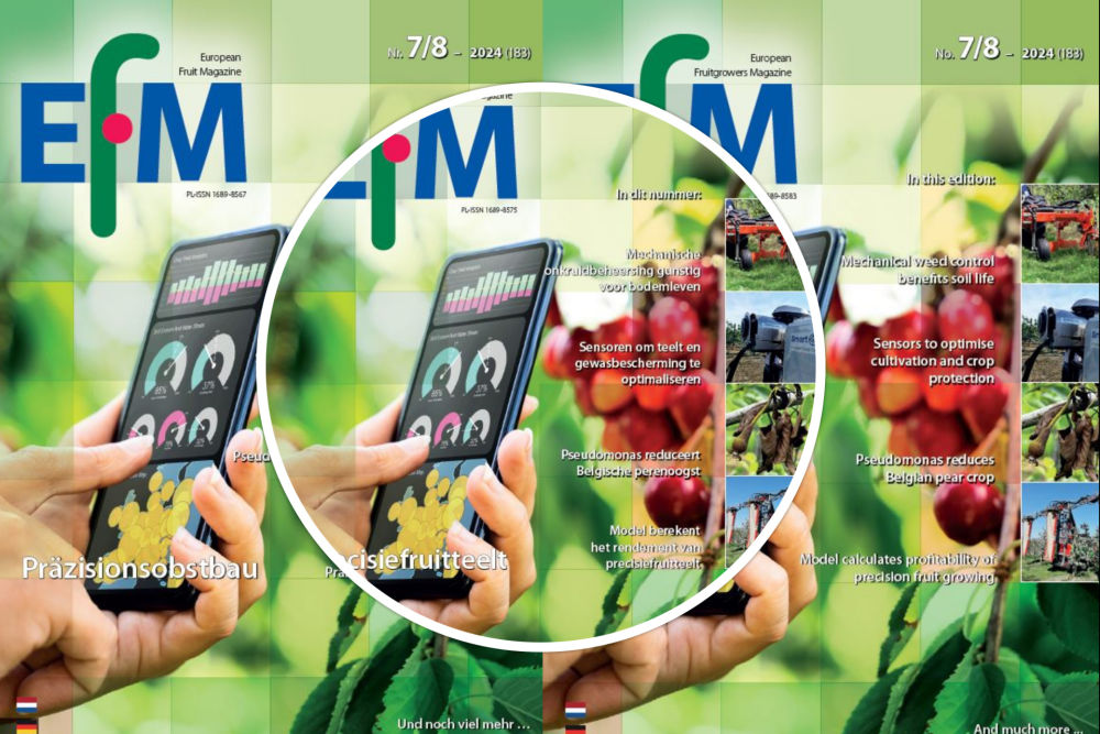 EFM2024-0708 now available (download)